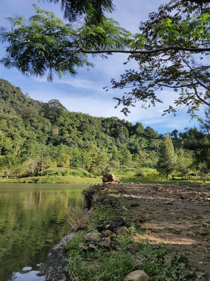 Trees Lake Rock View Sky Garden Blue Nature Stock Image - Image of lake ...