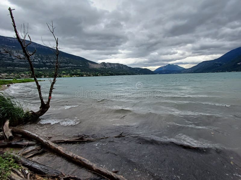 Trees in Lake with Wave in Front of Mountain Stock Photo - Image of ...