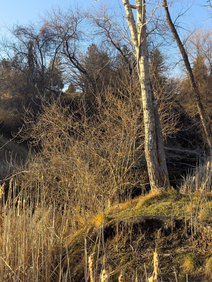 Subtle Incline Stock Photos - Free & Royalty-Free Stock Photos from ...