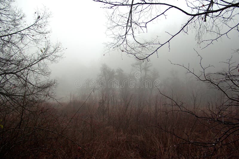 54+ Sad scenery Free Stock Photos - StockFreeImages