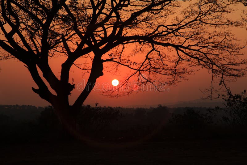 Flare in the sunrise stock photo. Image of viewpoint - 58342200