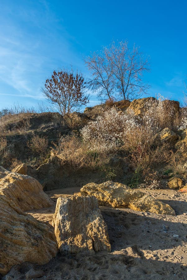 Trees and Limestone on the Slopes by the Sea Stock Photo - Image of ...