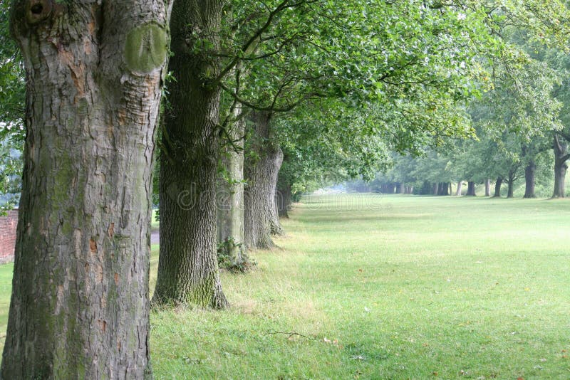 11,374 Grass Field Line Trees Stock Photos - Free & Royalty-Free Stock ...