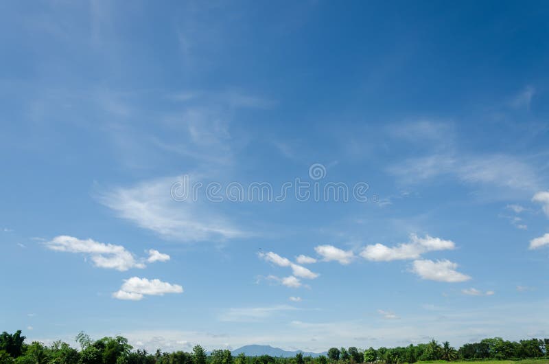 Trees line and blue sky stock photo. Image of atmosphere - 55589062