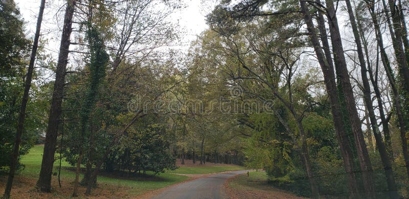 Road stock image. Image of line, trees, unknown, road - 131942815