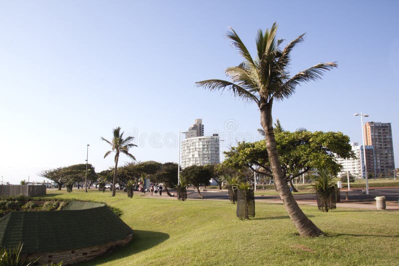 Trees Lining Durban S Golden Mile on Beachfront Stock Photo - Image of ...