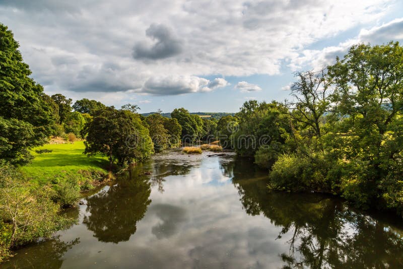 Trees Lining the River Tamar in Devon Stock Photo - Image of calm, blue ...