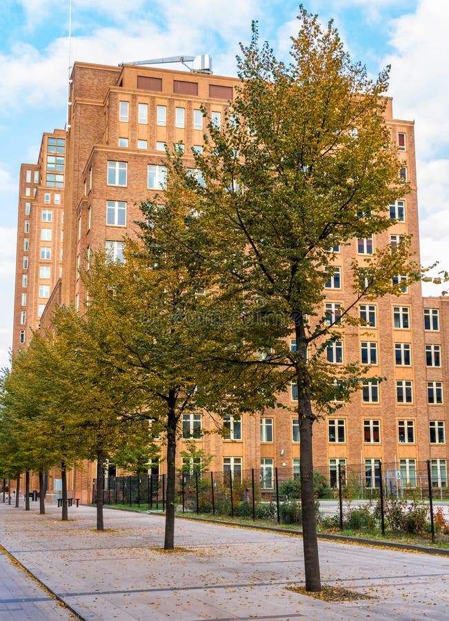 Trees Lining a Street in the Hague Editorial Image - Image of absorb ...