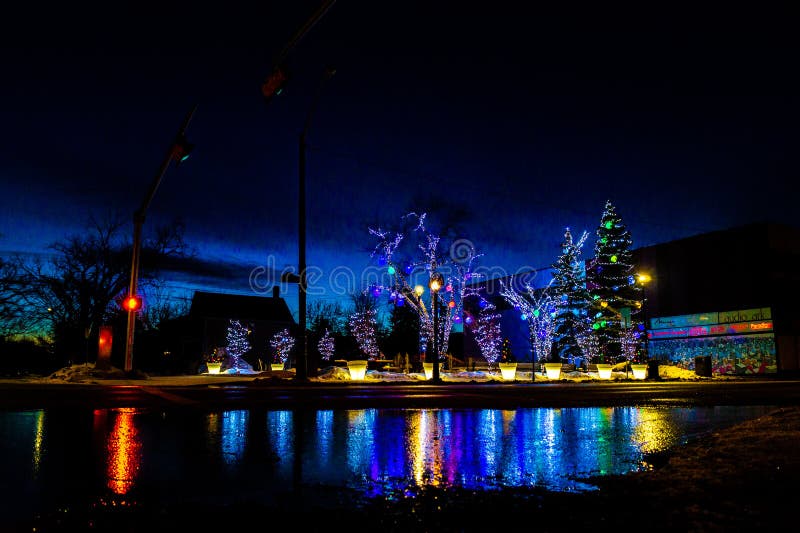 Trees Lit Up at Night in Beautiful Park Editorial Stock Photo - Image ...