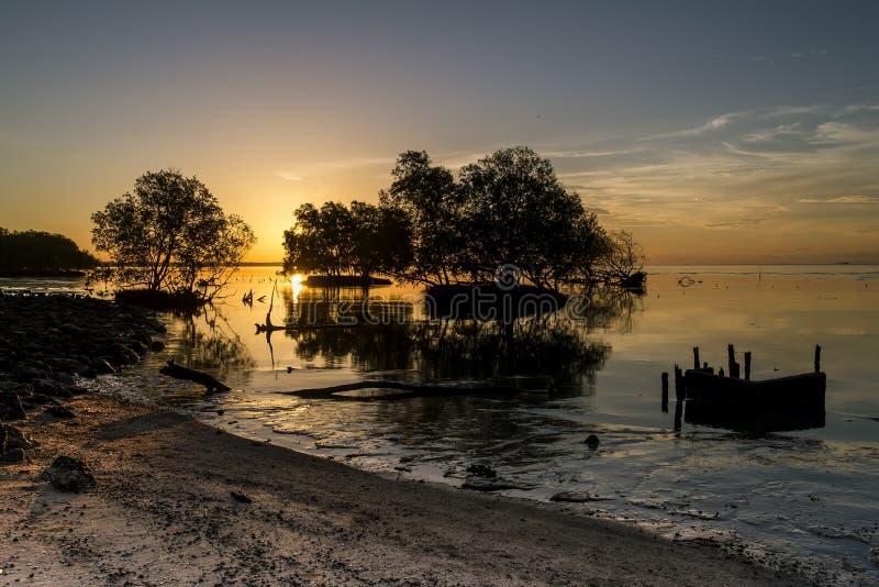 Trees Longer Life. Death at Sunset. Stock Image - Image of black, death ...