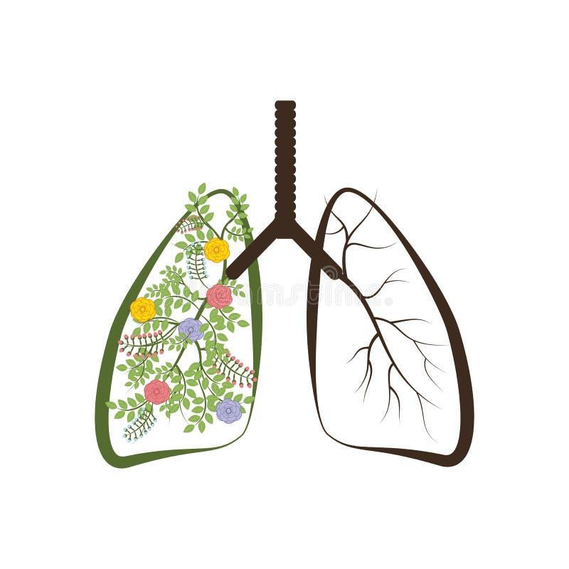 Lungs Trees Stock Illustrations – 159 Lungs Trees Stock Illustrations ...