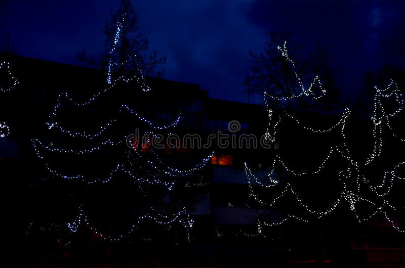 Trees on the Main Boulevard in the City. in the Dark they Glow with ...