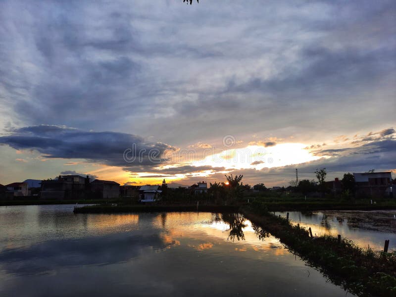 Trees make the mind calm stock photo. Image of dusk - 265002060