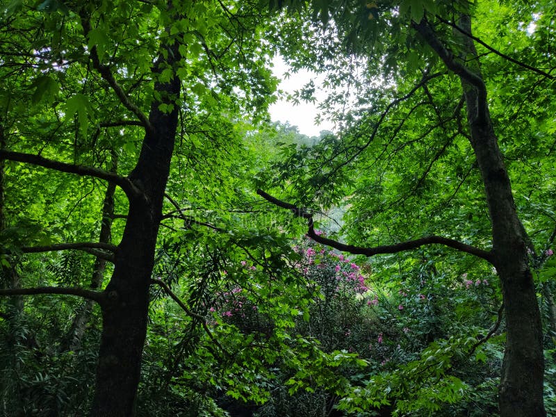 Turgut Waterfall in Marmaris City, Turkey. Stock Image - Image of ...
