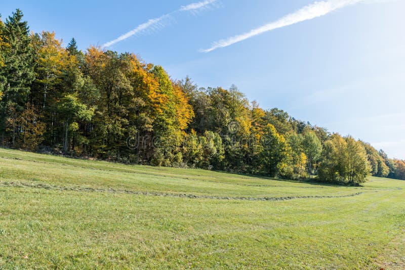 Trees and Meadows in the Bavarian Forest, Germany Stock Photo - Image ...