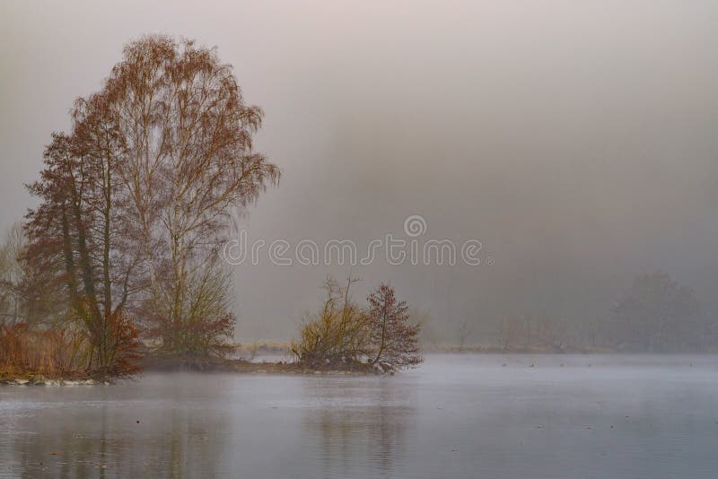 Trees in the mist stock image. Image of haze, plant - 152453347