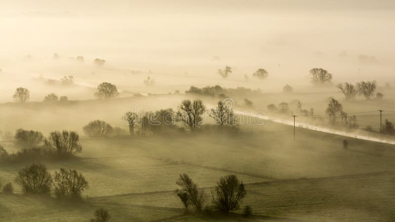 Trees in the Mist B in Somerset England Stock Image - Image of hill ...