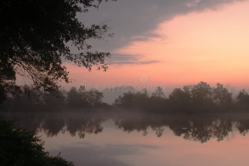 Trees and Misty Sunrise Morning Lake Stock Image - Image of foliage ...