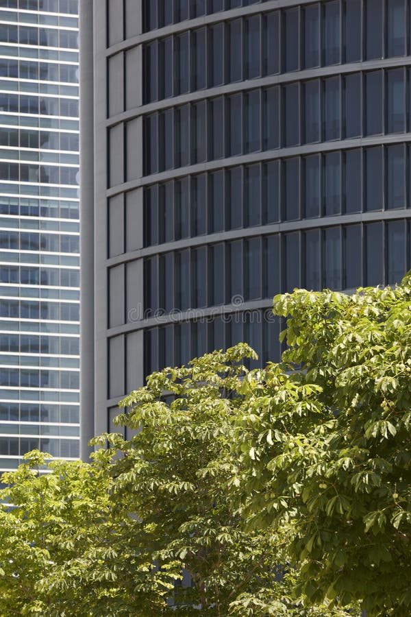 Trees and Modern Building Facades in Madrid, Spain Stock Photo - Image ...