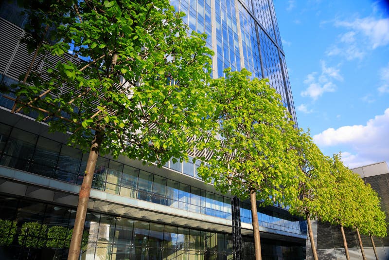 Trees and Modern Glass Business Building Stock Photo - Image of ...