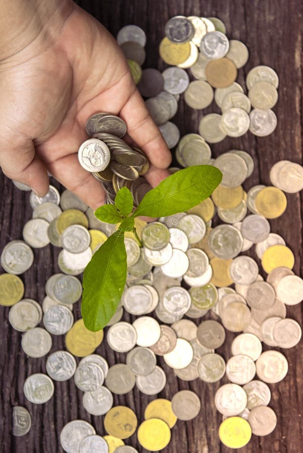 Trees with Money, Saving Money and Growing Hands Stock Image - Image of ...