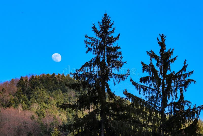 Trees, Moon and Mountain at Day Light Stock Image - Image of health ...