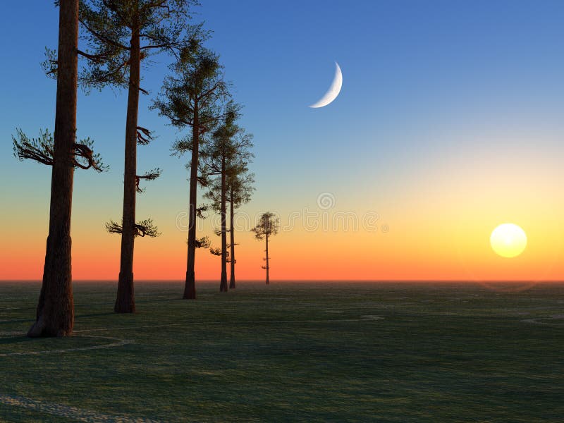 Moon trees stock vector. Illustration of background, bright - 2757751