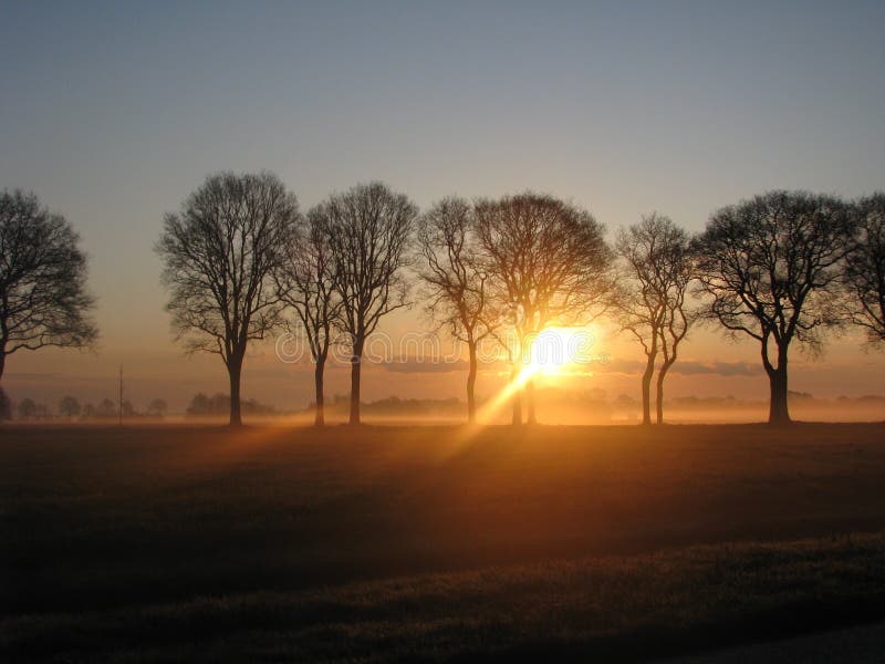 Trees Morning Sun Orange Blue Stock Image - Image of morning, orange ...
