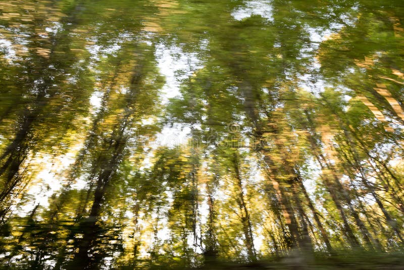 Trees Motion stock image. Image of spring, sunset, trees - 58894797