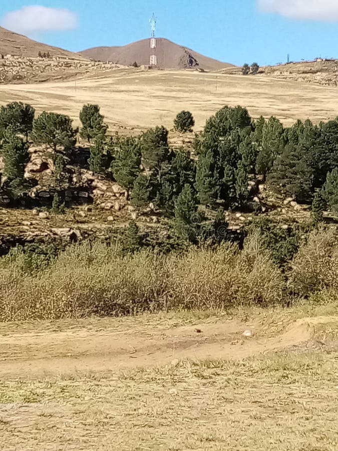 Trees on Mountain Kingdom of Lesotho Stock Photo - Image of lesotho ...