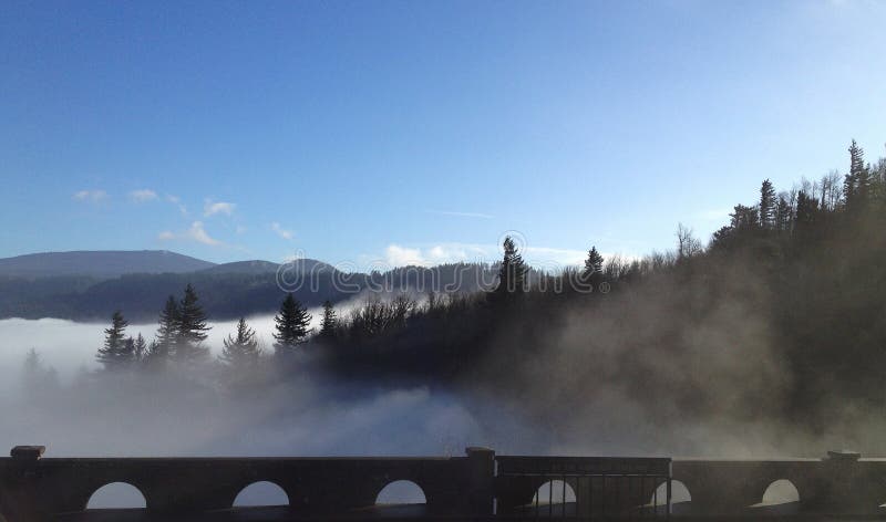 Trees and Mountain Peaking through Mist in Portland, Oregon Stock Photo ...