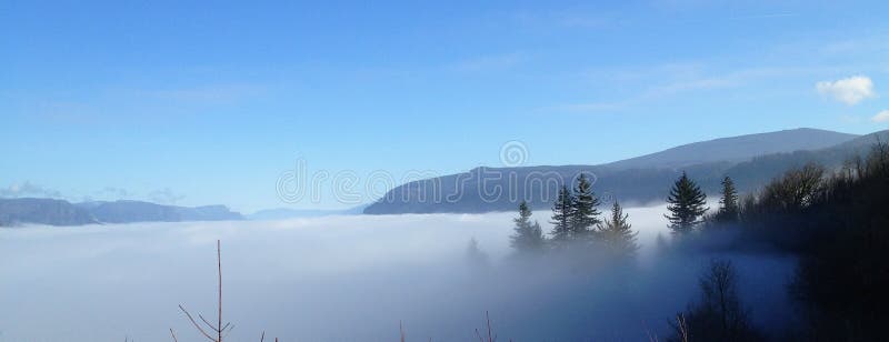 Trees and Mountain Peaking through Mist in Portland, Oregon Stock Photo ...