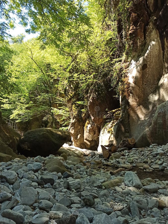 The Trees of the Mountain Stream Rocks Stock Image - Image of autumn ...