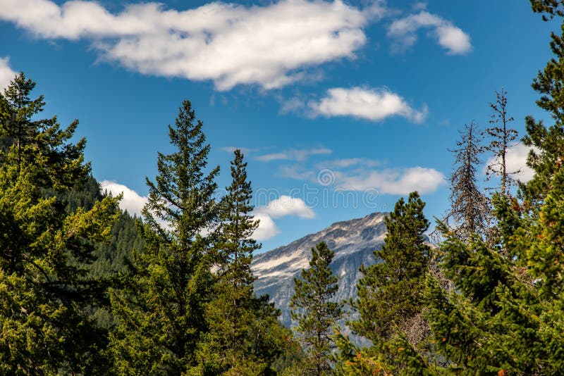 Trees and Mountain View Along the North Cascade Highway Stock Image ...