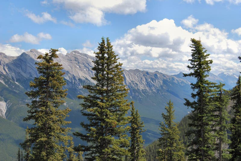 Trees and Mountains in Banff National Park Stock Photo - Image of sunny ...