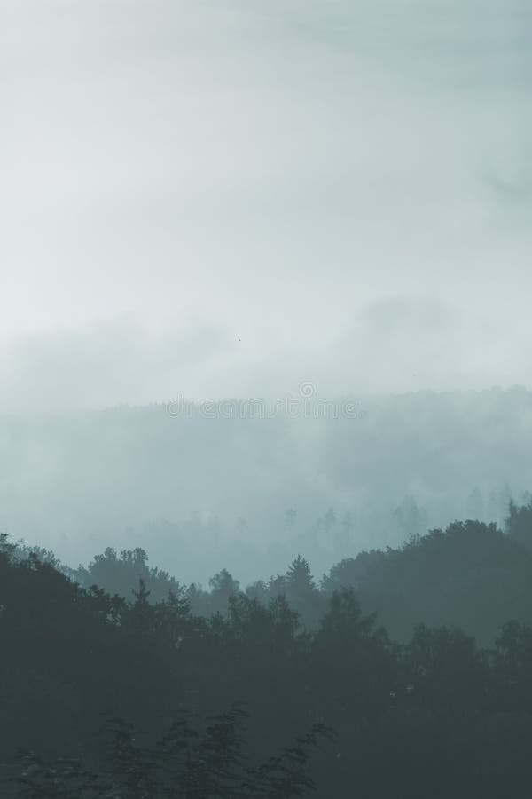 Trees on Mountains Blurred by Mist in Mist at Night. Light Tonal ...