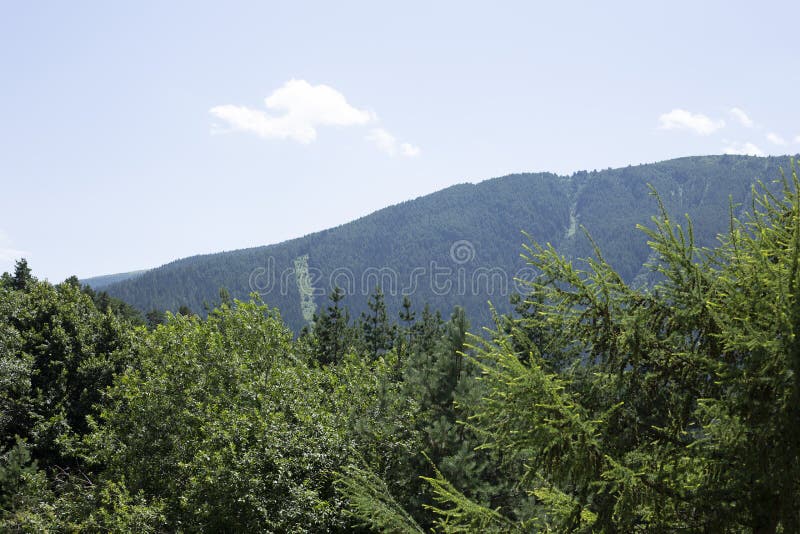 Trees Mountains Green Landscape with Trees in Front Stock Image - Image ...