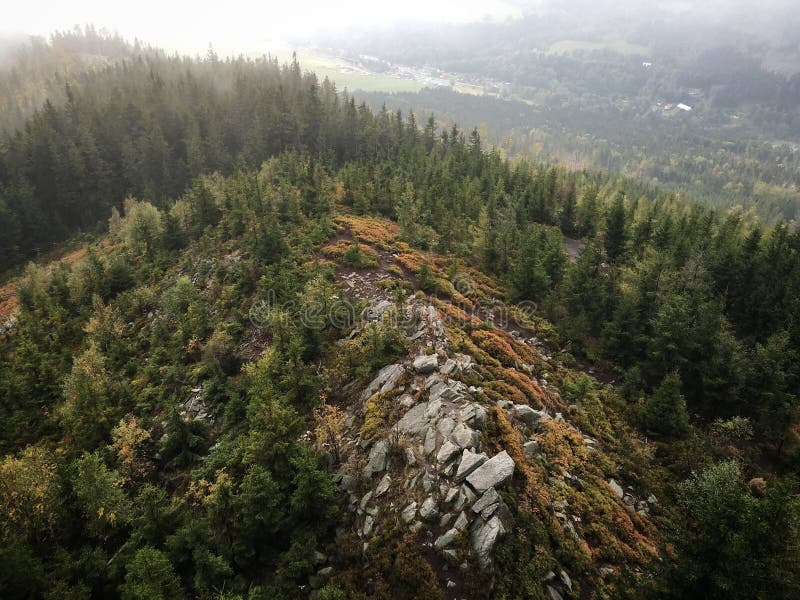 On the ridge stock image. Image of ridge, trees, nature - 117009843