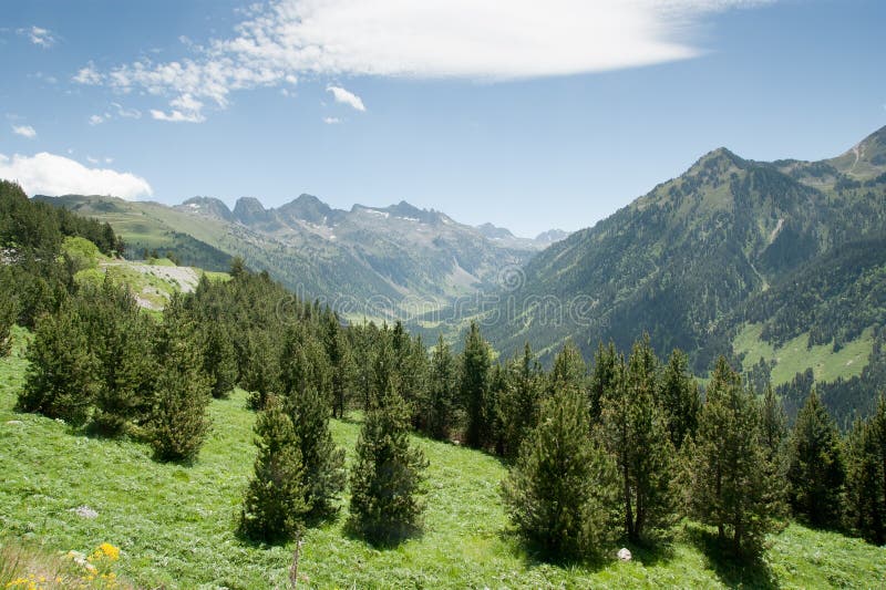 Trees and Mountains of Spain Pyrenees Stock Photo - Image of national ...