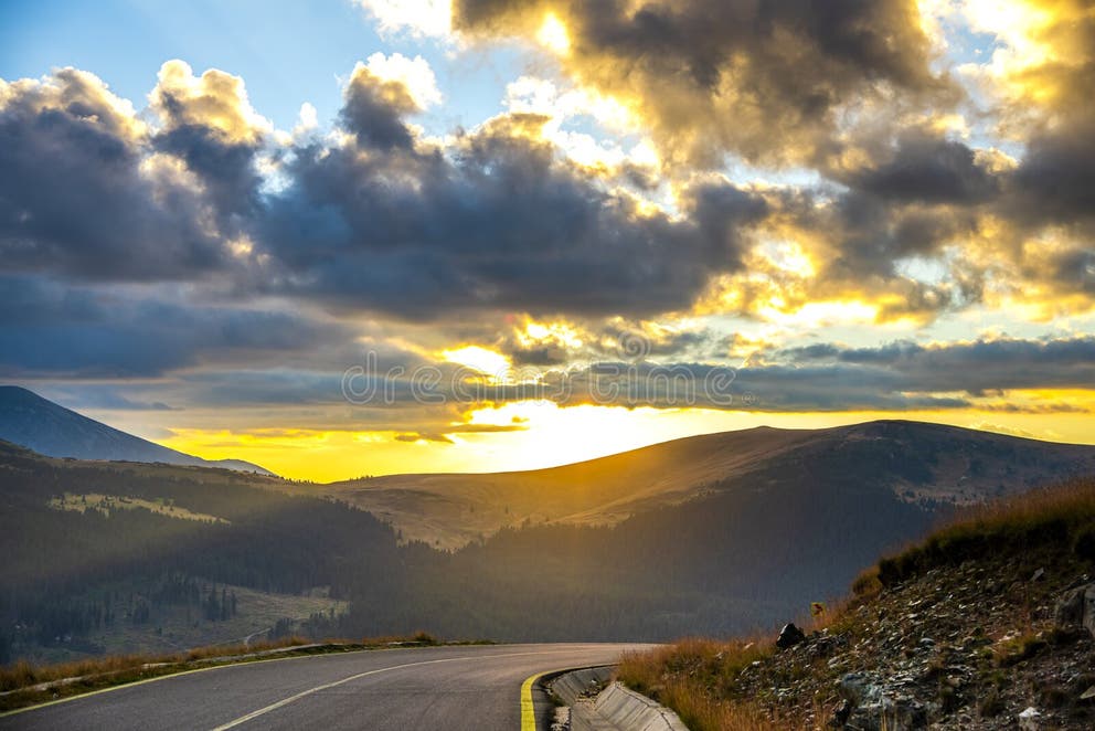 Crown of Trees at the Sunset Stock Image - Image of sunny, landscape ...