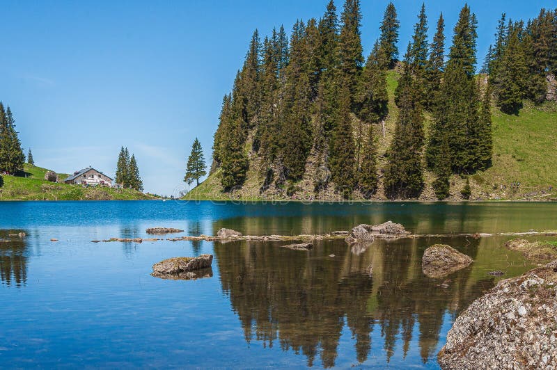 Trees on the Mountains Surrounded by Lake Lac Lioson in Switzerland ...