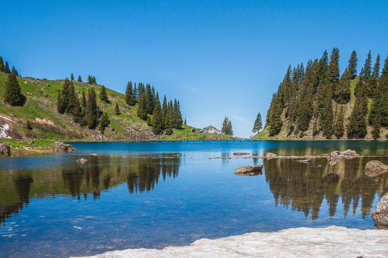 Trees on the Mountains Surrounded by Lake Lac Lioson in Switzerland ...