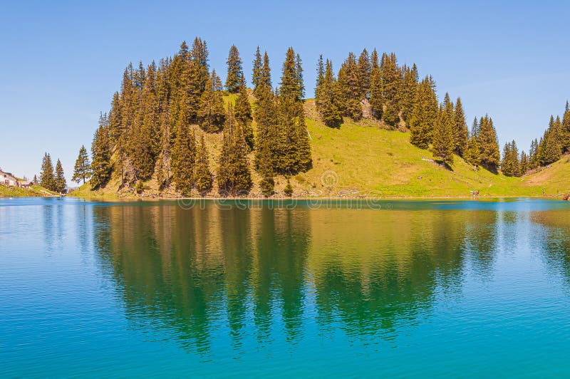 Trees on the Mountains in Switzerland Surrounded by the Lake Lac Lioson ...