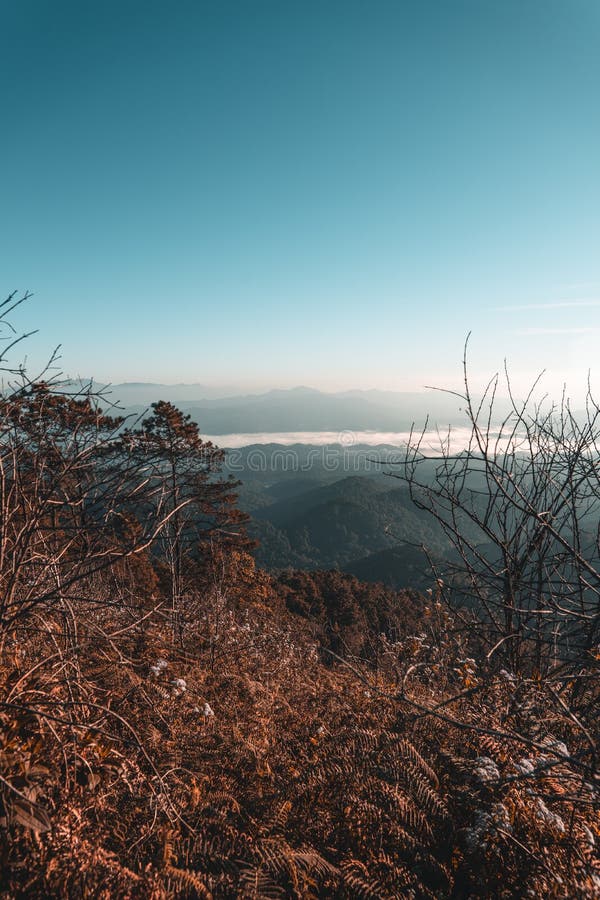Trees, Mountains and Views with Orange Light in the Morning Stock Image ...