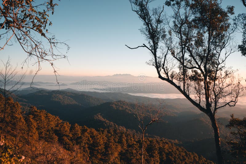 Trees, Mountains and Views with Orange Light in the Morning Stock Image ...