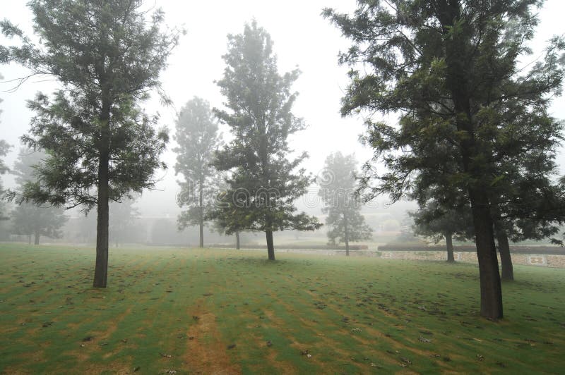 Trees in the Nature Garden stock image. Image of green - 274050877