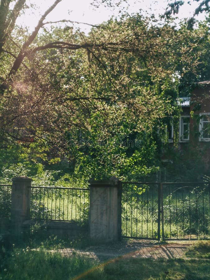Trees Near the Old Gate Under the Morning Sun Stock Photo - Image of ...