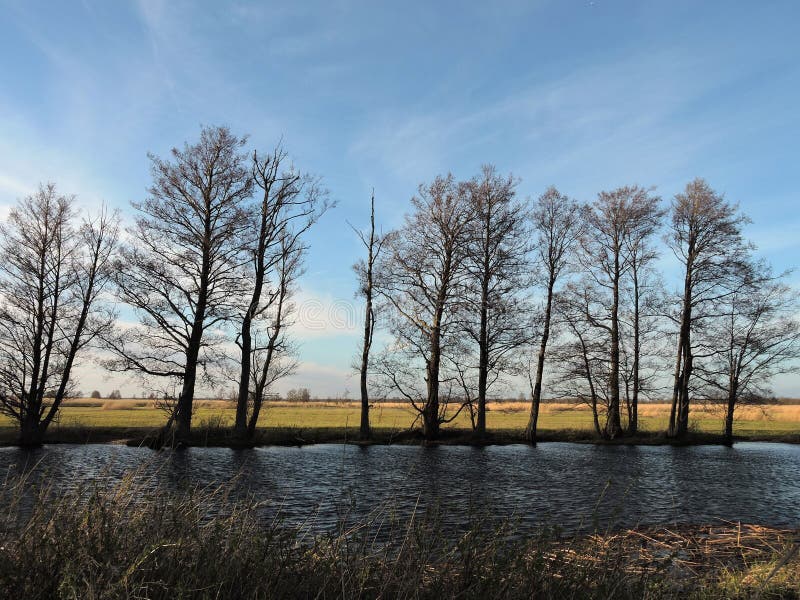 Trees Near River, Lithuania Stock Image - Image of sunset, plant: 53195759