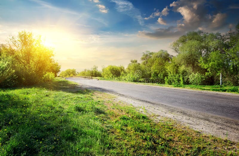 Trees near road stock photo. Image of sunlight, park - 51023000