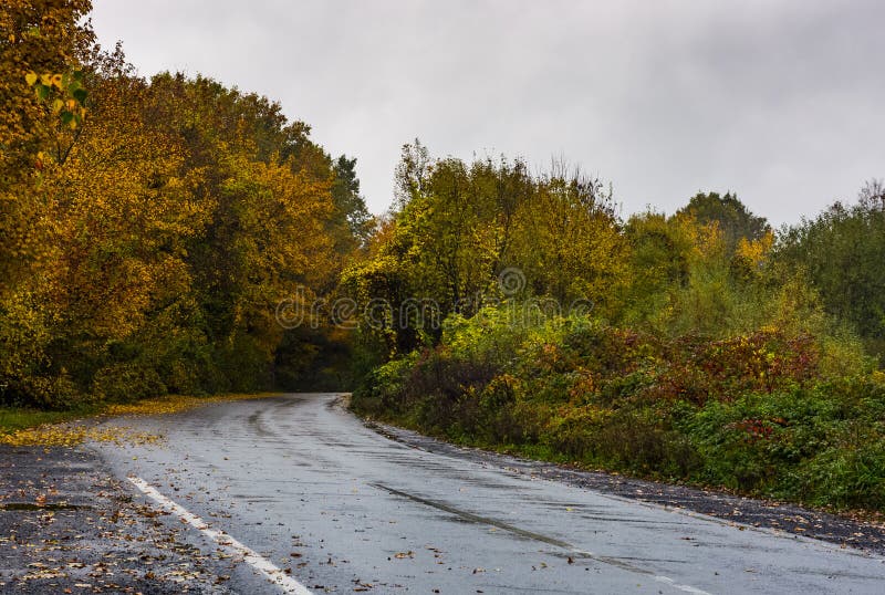 Trees Near the Road in Mountains Stock Photo - Image of golden, foliage ...